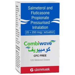 COMBIWAVE 250 INHALER
